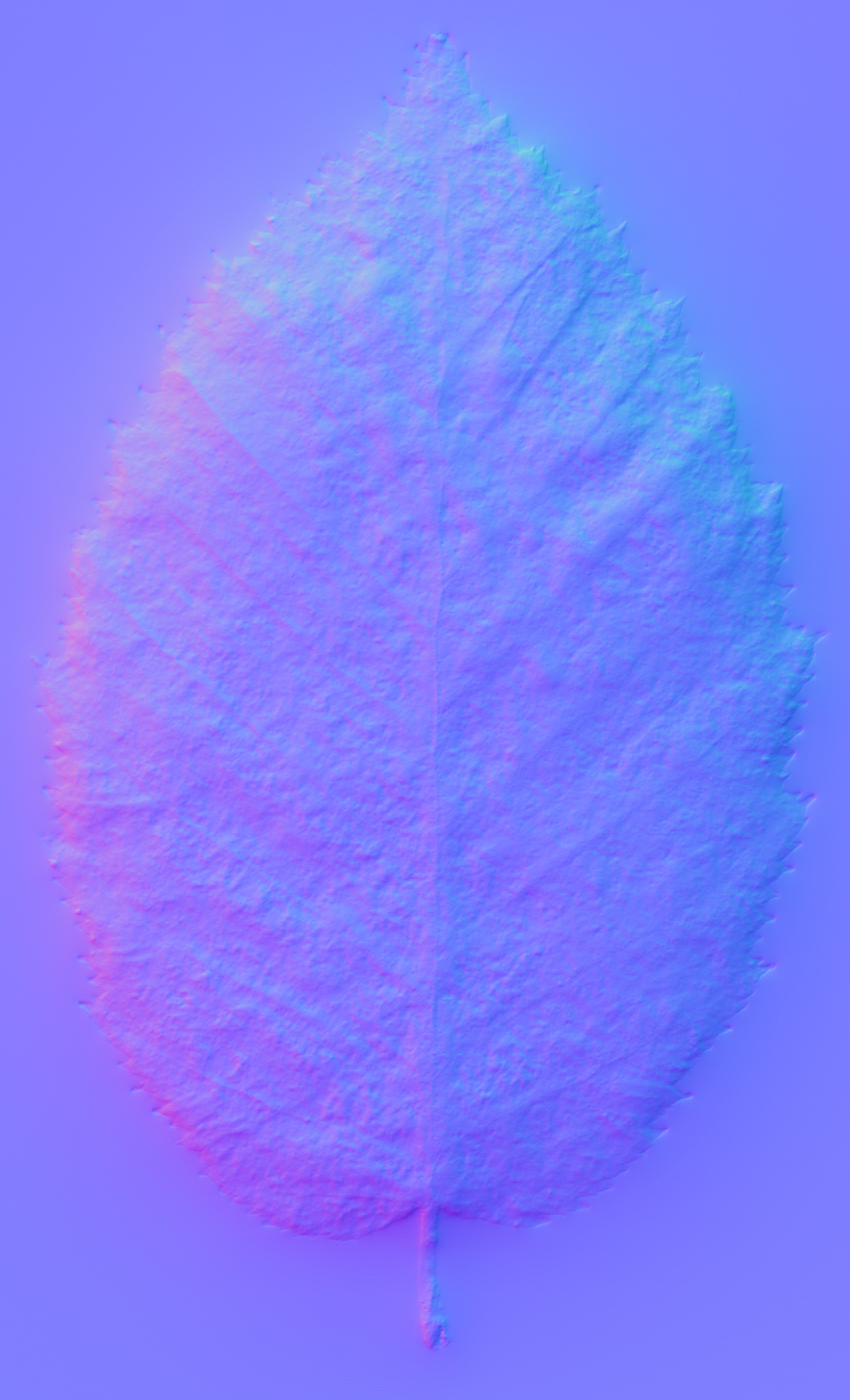 Autumn Leaf 24 | Free PBR texture from cgbookcase.com