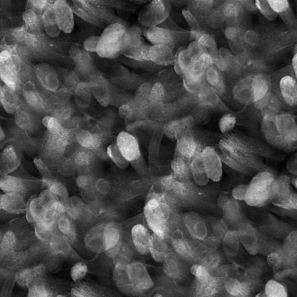 Fingerprints 02 | Free PBR texture from cgbookcase.com