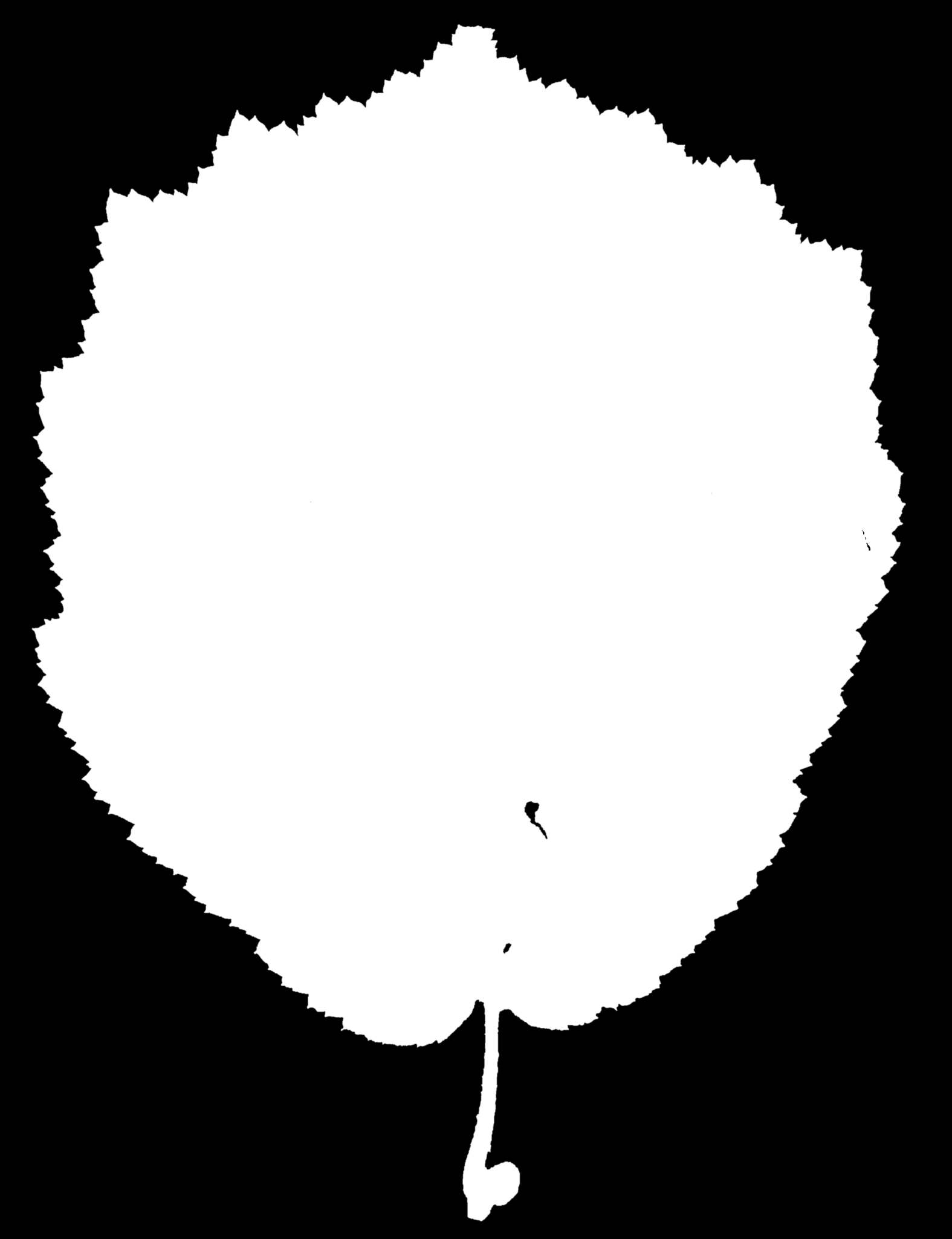 Green Leaf 03 | Free PBR texture from cgbookcase.com