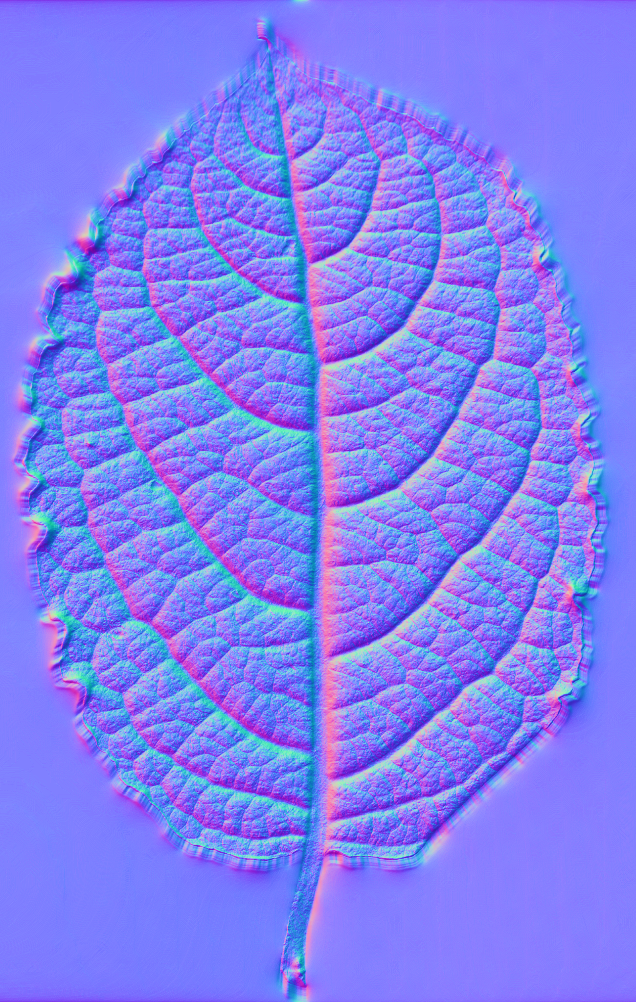 Green Leaf 10 | Free PBR texture from cgbookcase.com