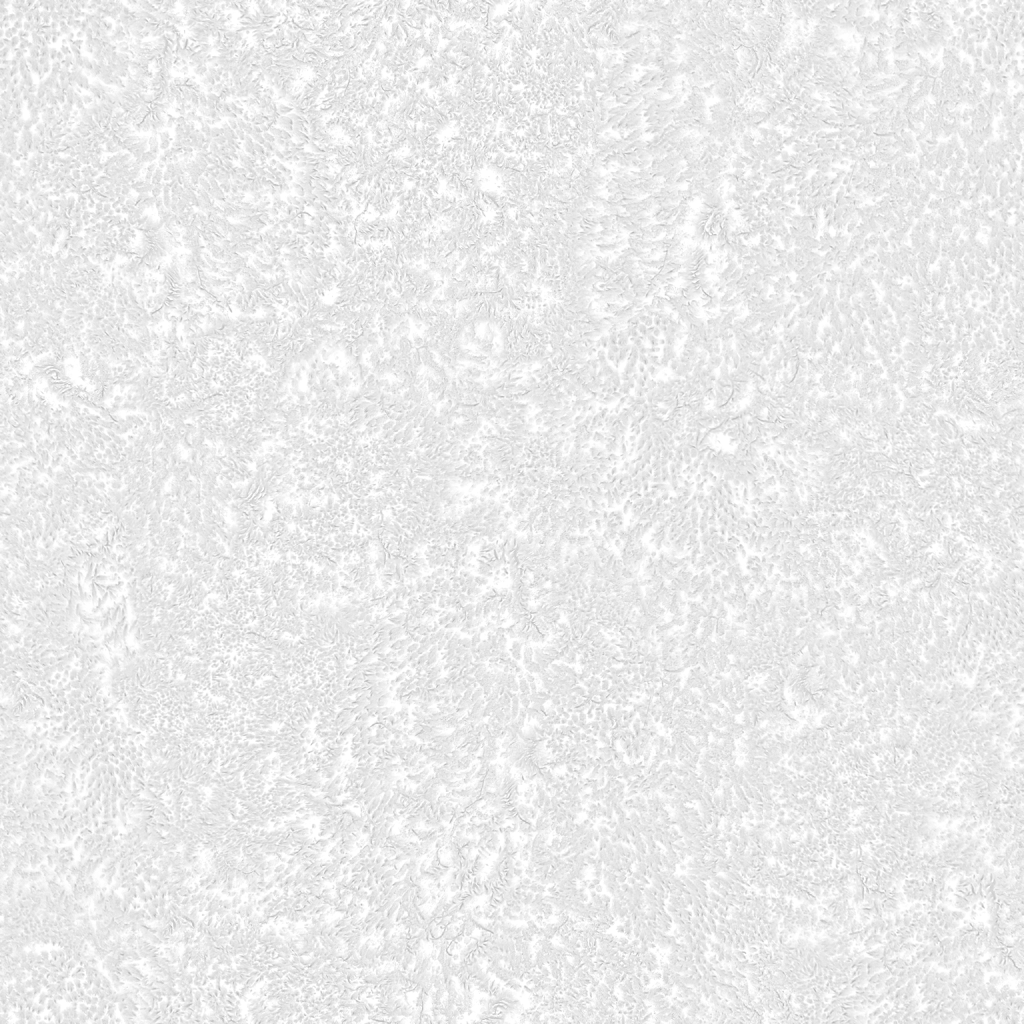 Moss 01 | Free PBR texture from cgbookcase.com