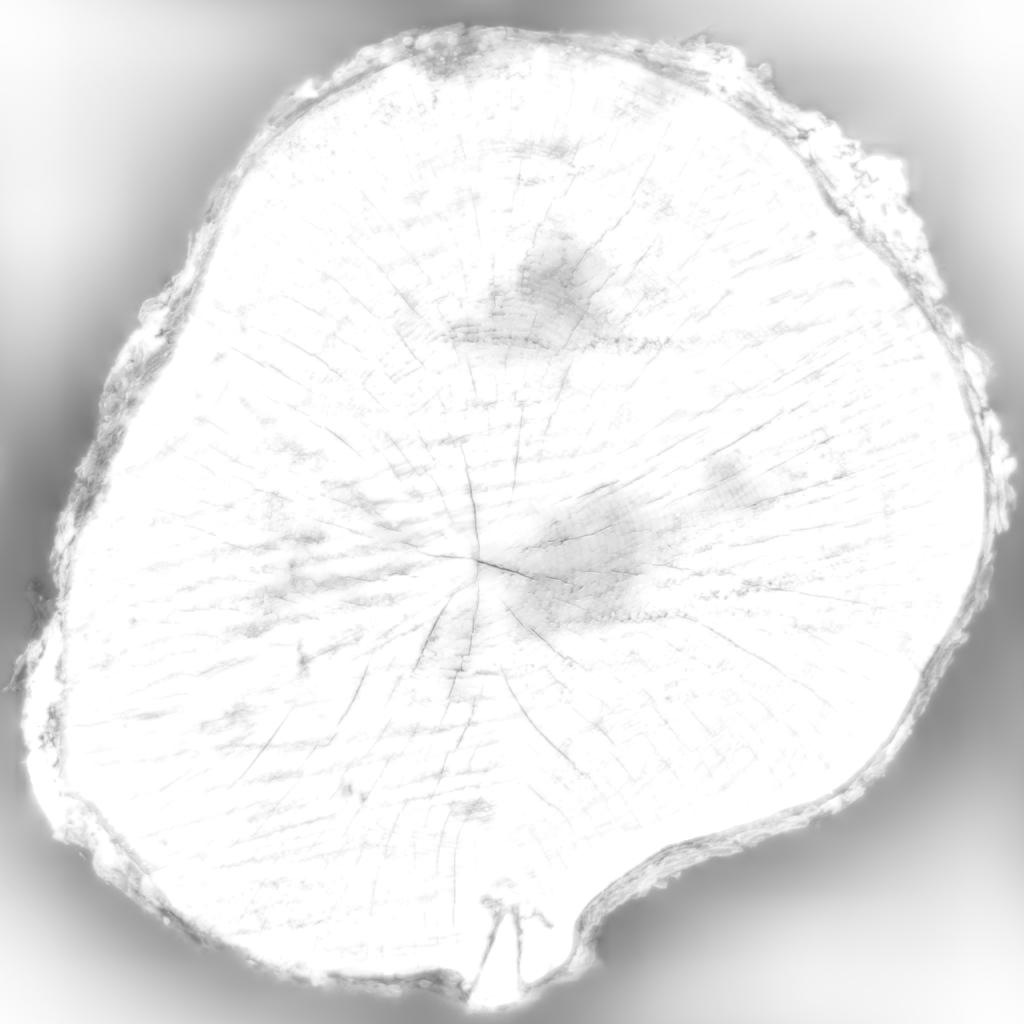 Tree Stump 02 | Free PBR texture from cgbookcase.com