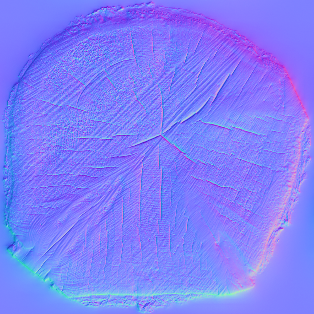 Tree Stump 03 | Free PBR texture from cgbookcase.com