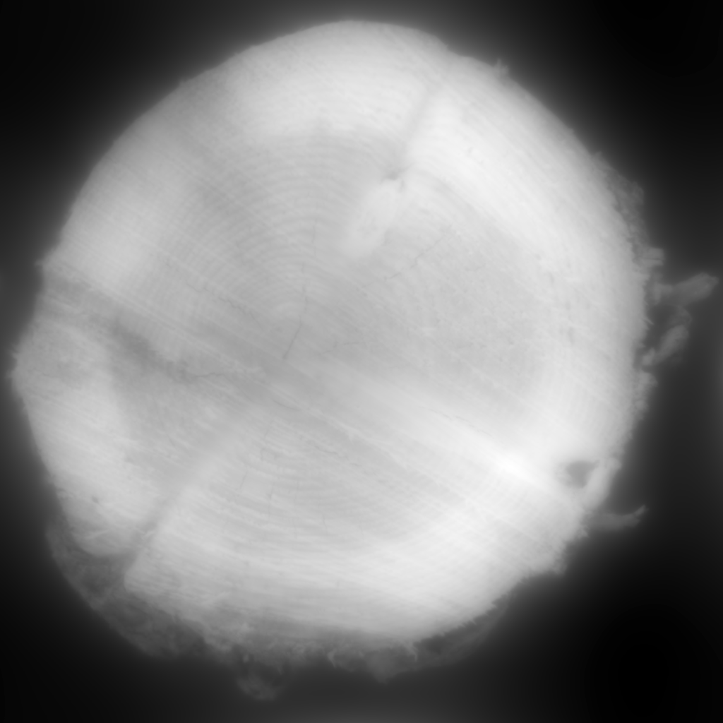 Tree Stump 07 | Free PBR texture from cgbookcase.com