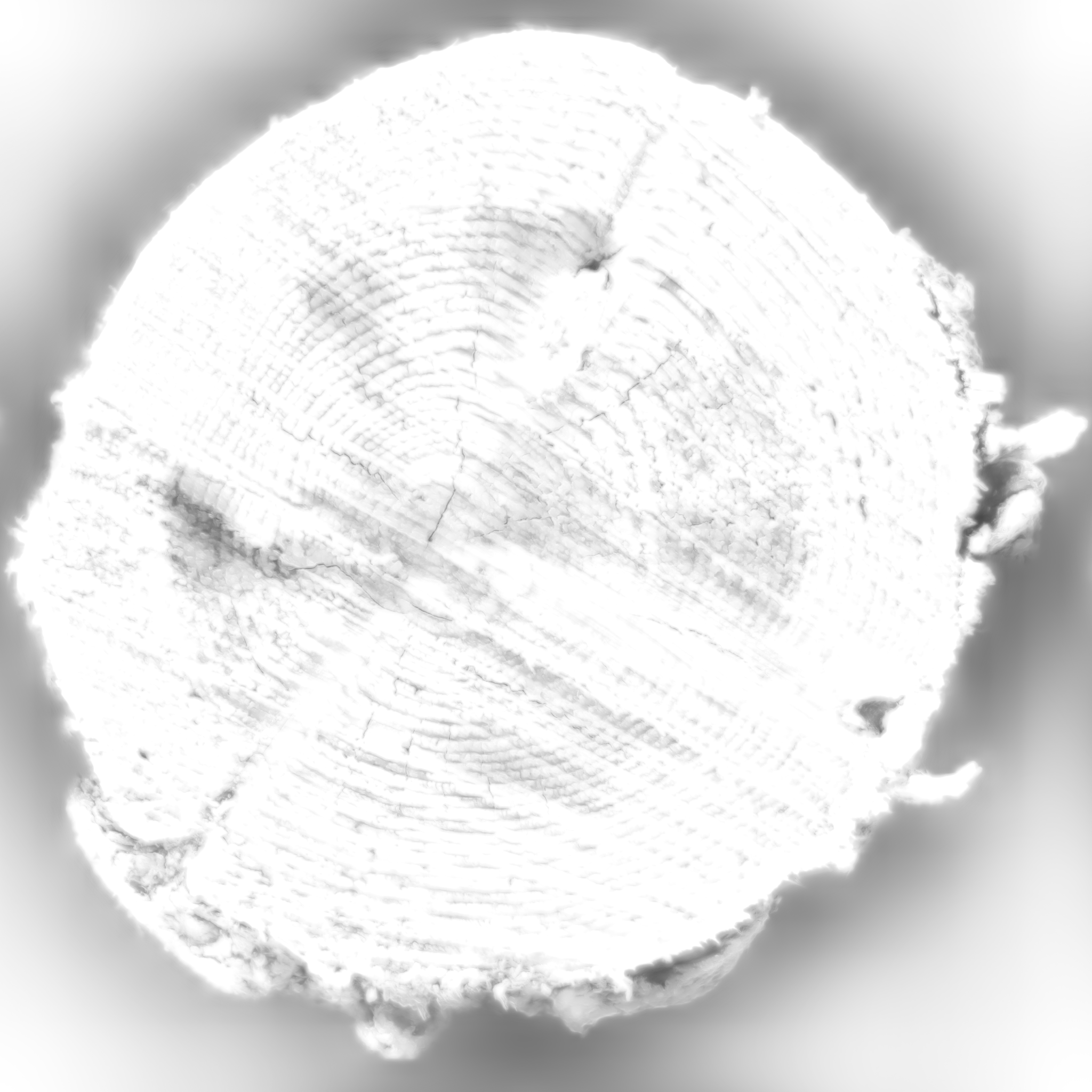 Tree Stump 07 | Free PBR texture from cgbookcase.com