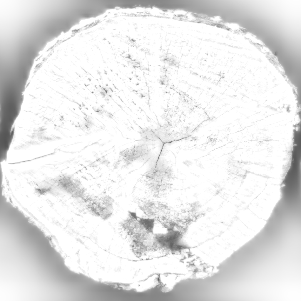 Tree Stump 09 | Free PBR texture from cgbookcase.com